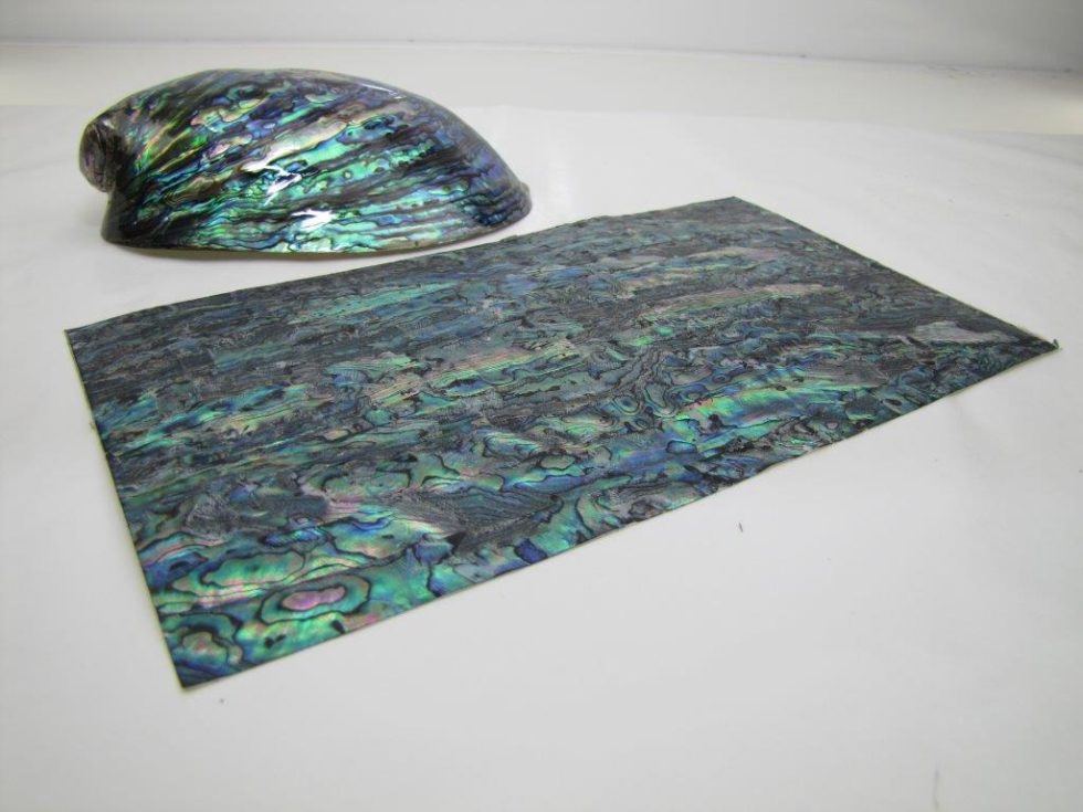 Feuilles de nacre | Spécialiste de la nacre